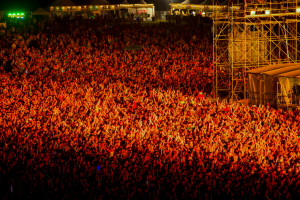 TheWaster.com 2014 Firefly Festival Line-up Announced | TheWaster.com