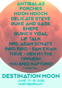 Destination Moon Music & Arts Festival 2016 | TheWaster.com